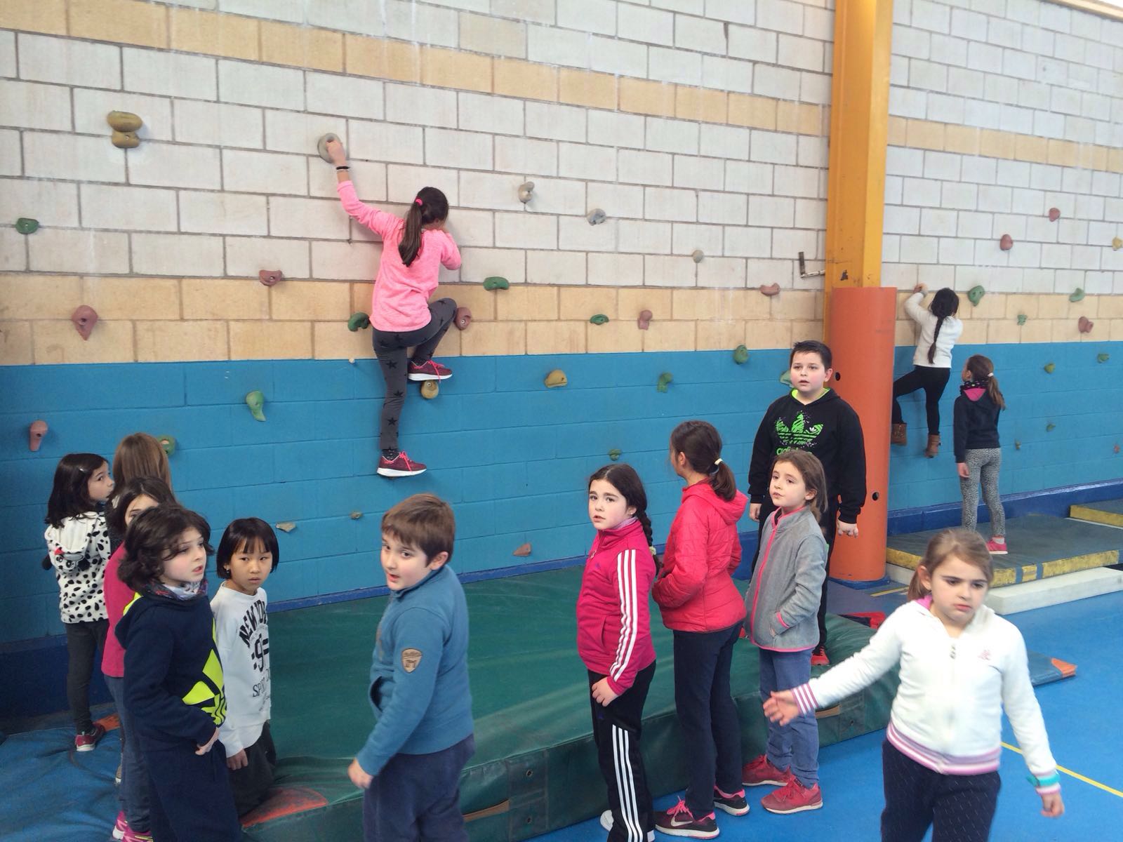 Retos de Educación Física – Colegio Altamira