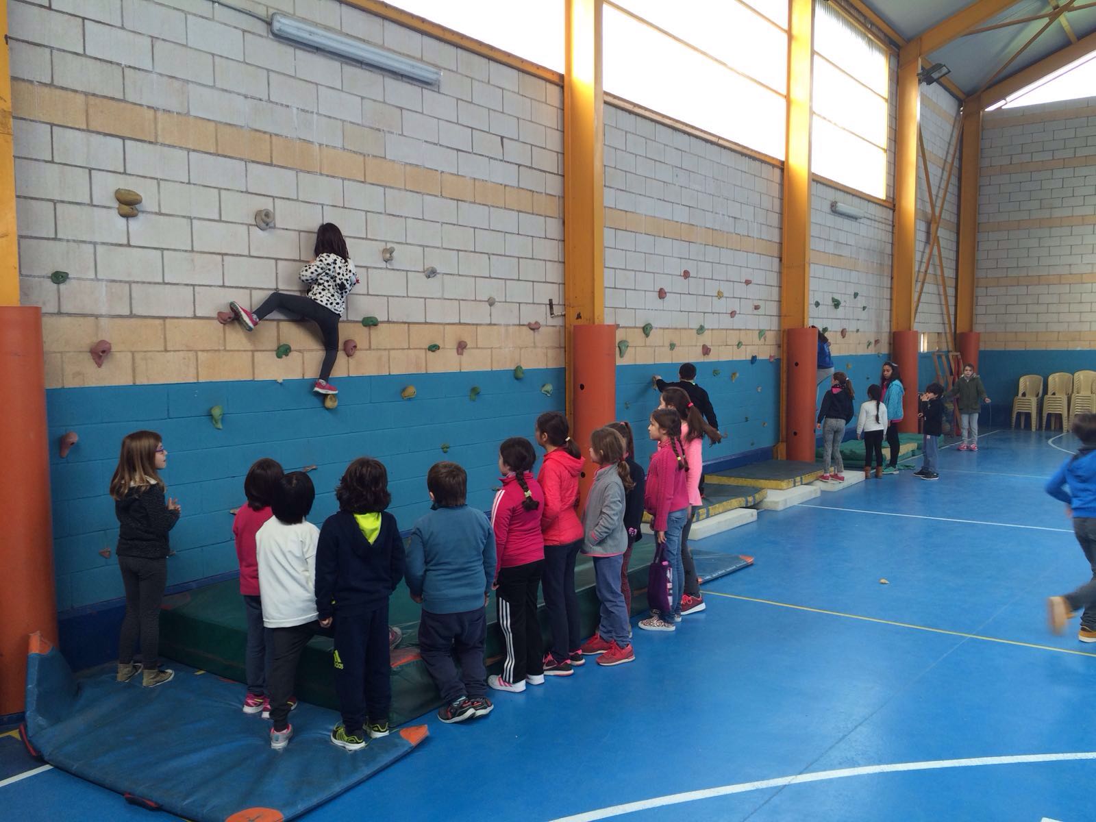 Retos de Educación Física – Colegio Altamira